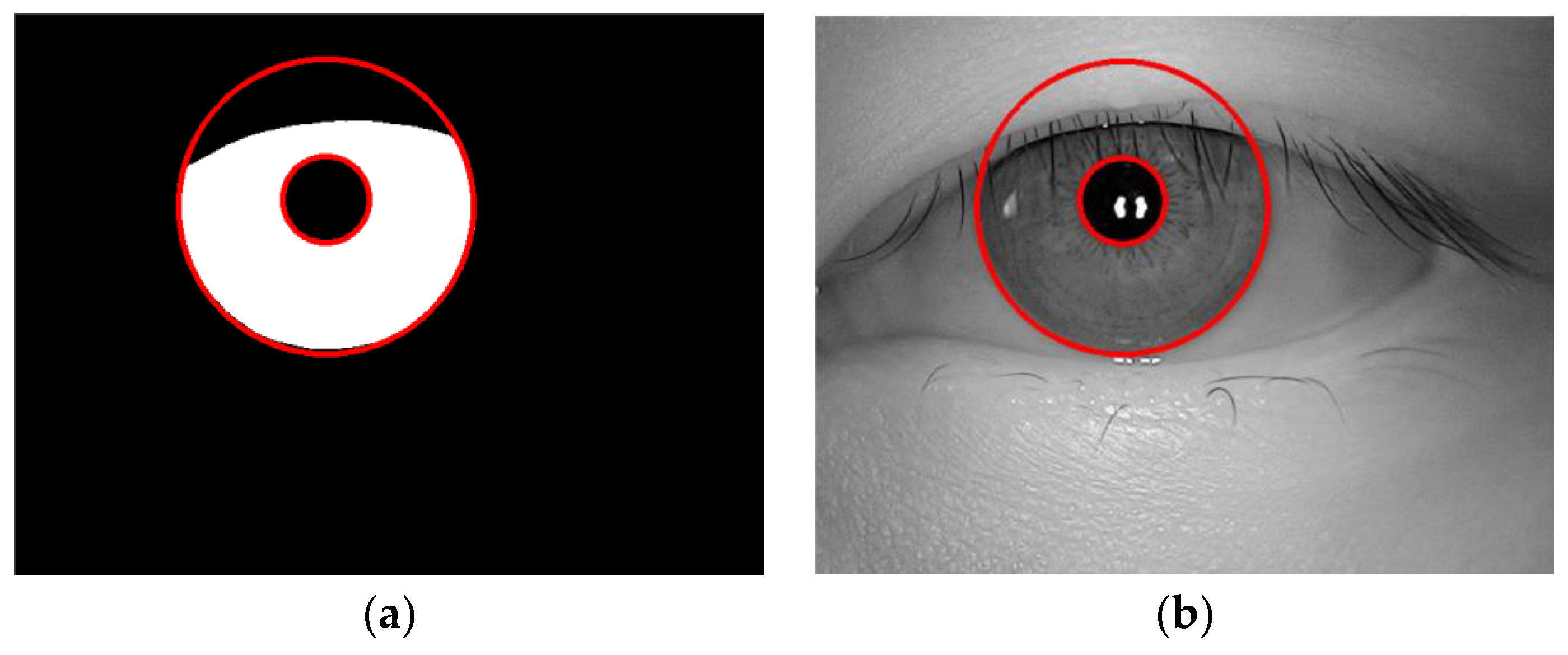 Pfsegiris Precise And Fast Segmentation Algorithm For Multi Source