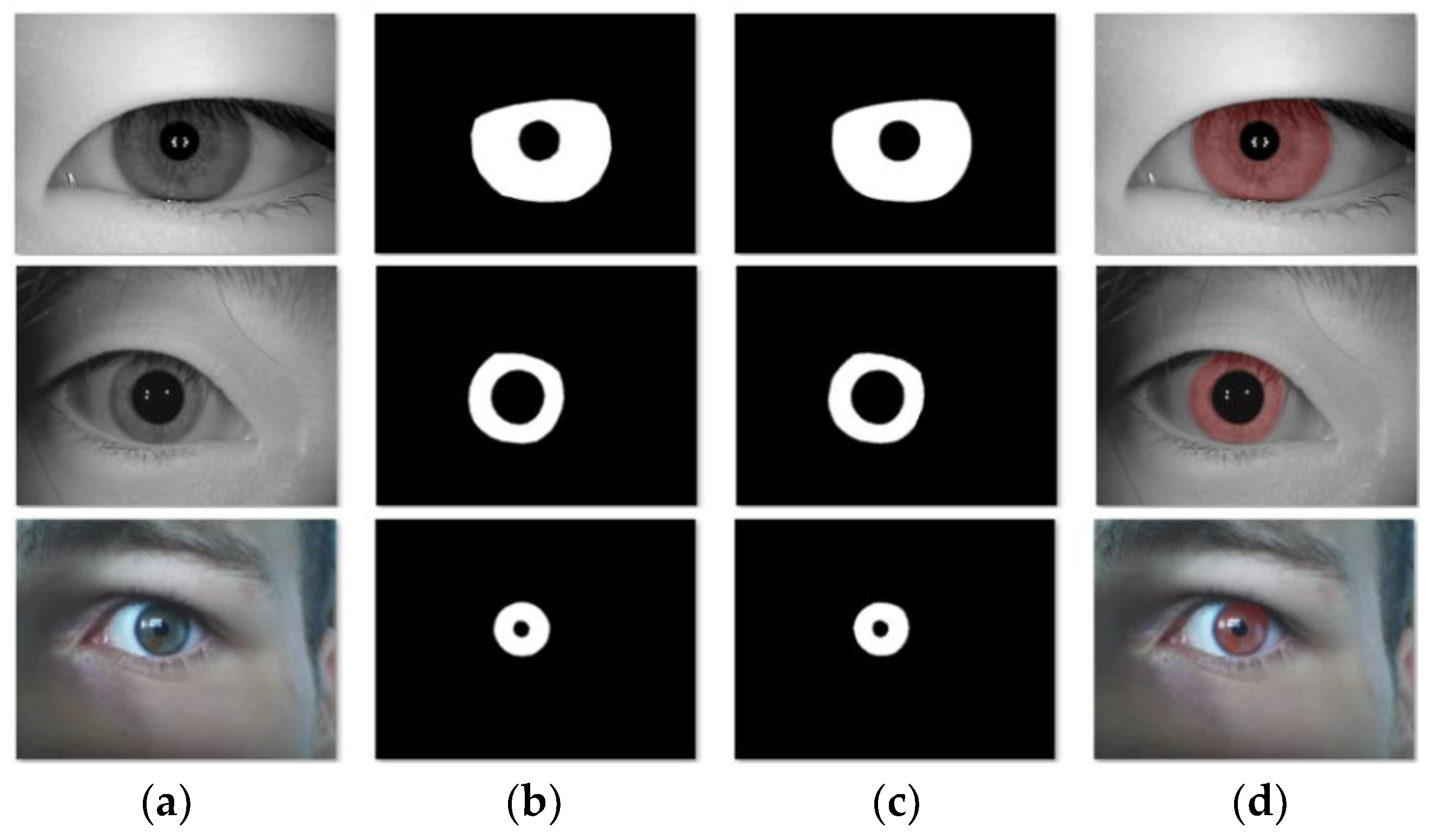 Pfsegiris Precise And Fast Segmentation Algorithm For Multi Source