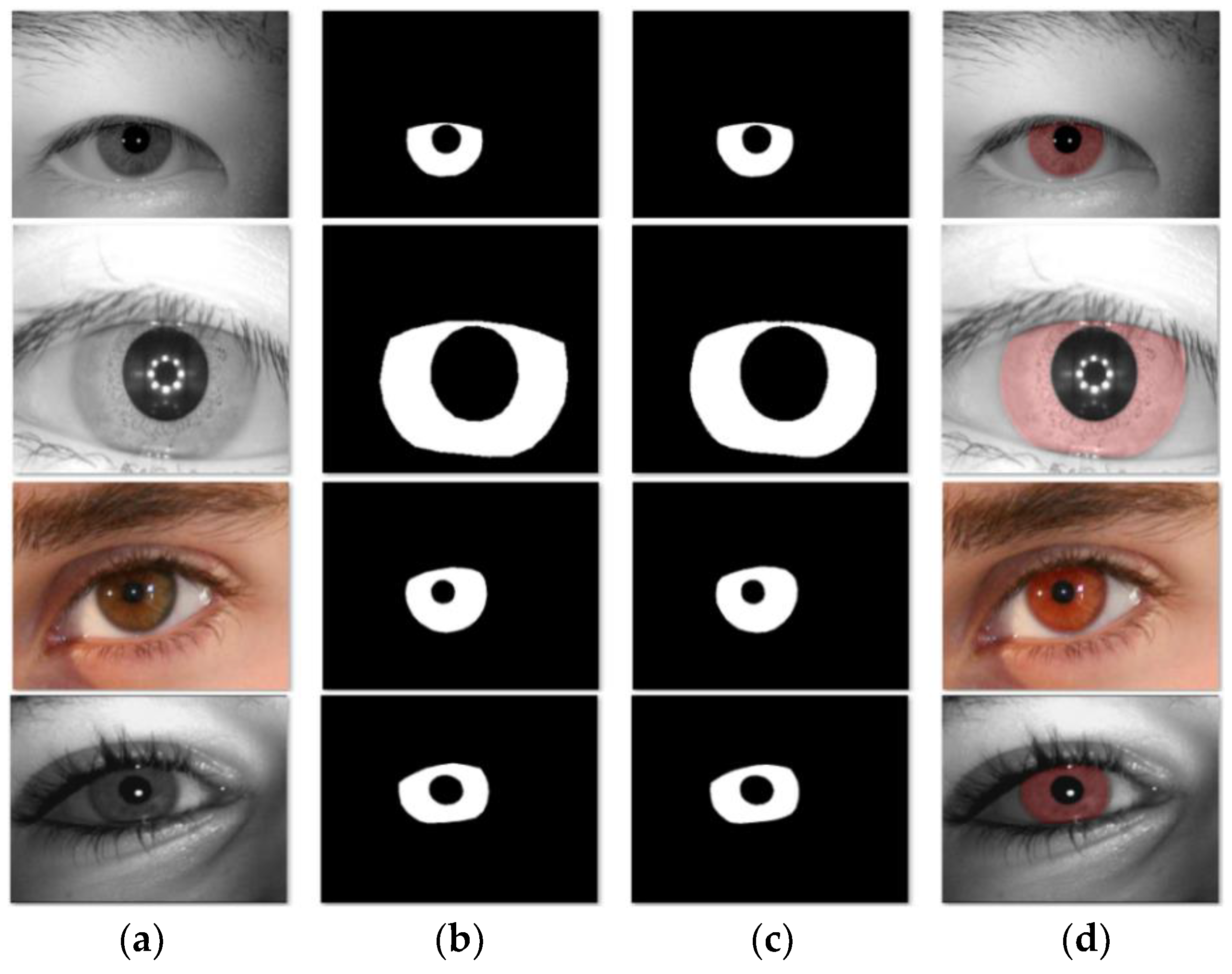 Pfsegiris Precise And Fast Segmentation Algorithm For Multi Source