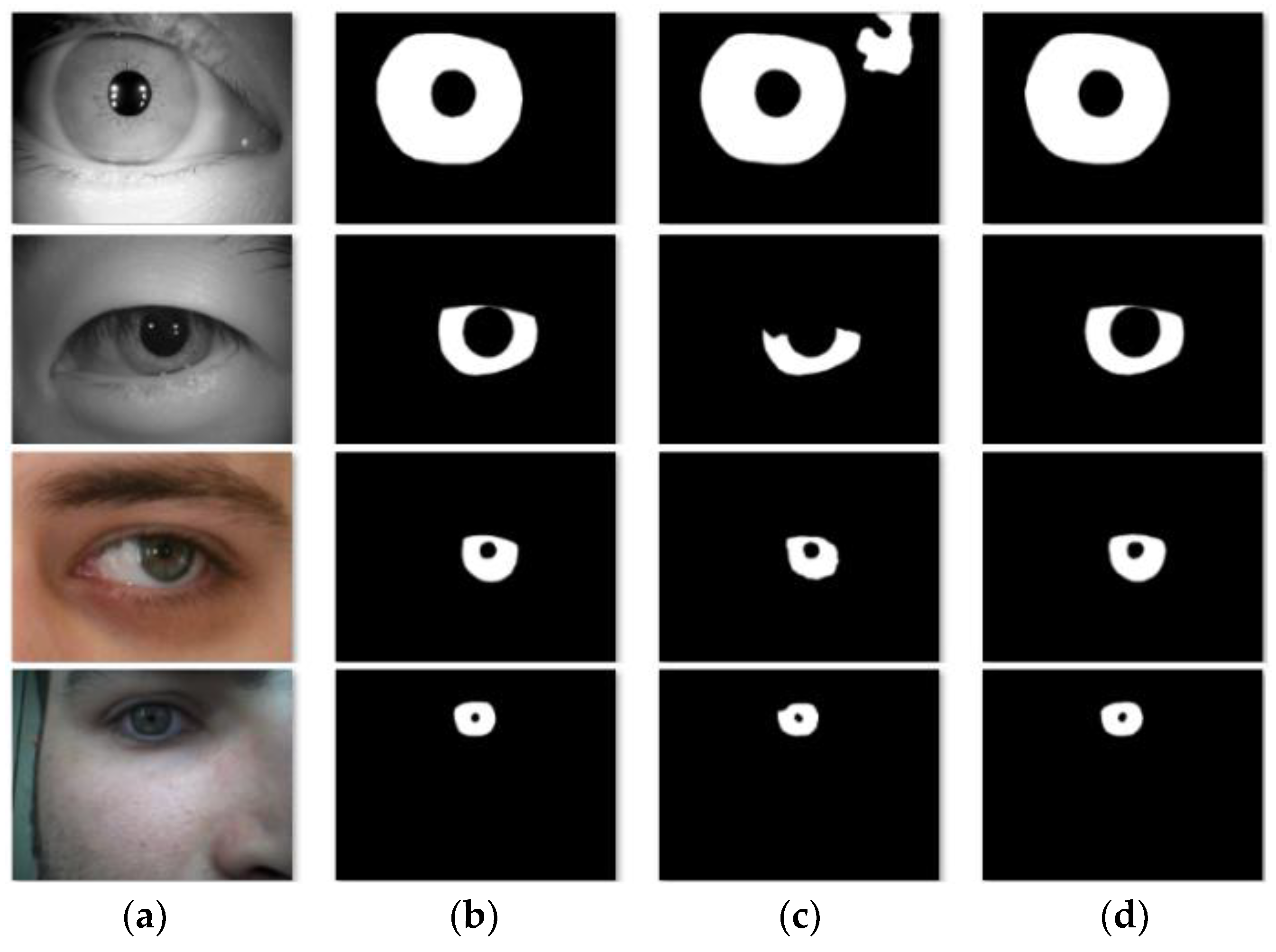 Pfsegiris Precise And Fast Segmentation Algorithm For Multi Source