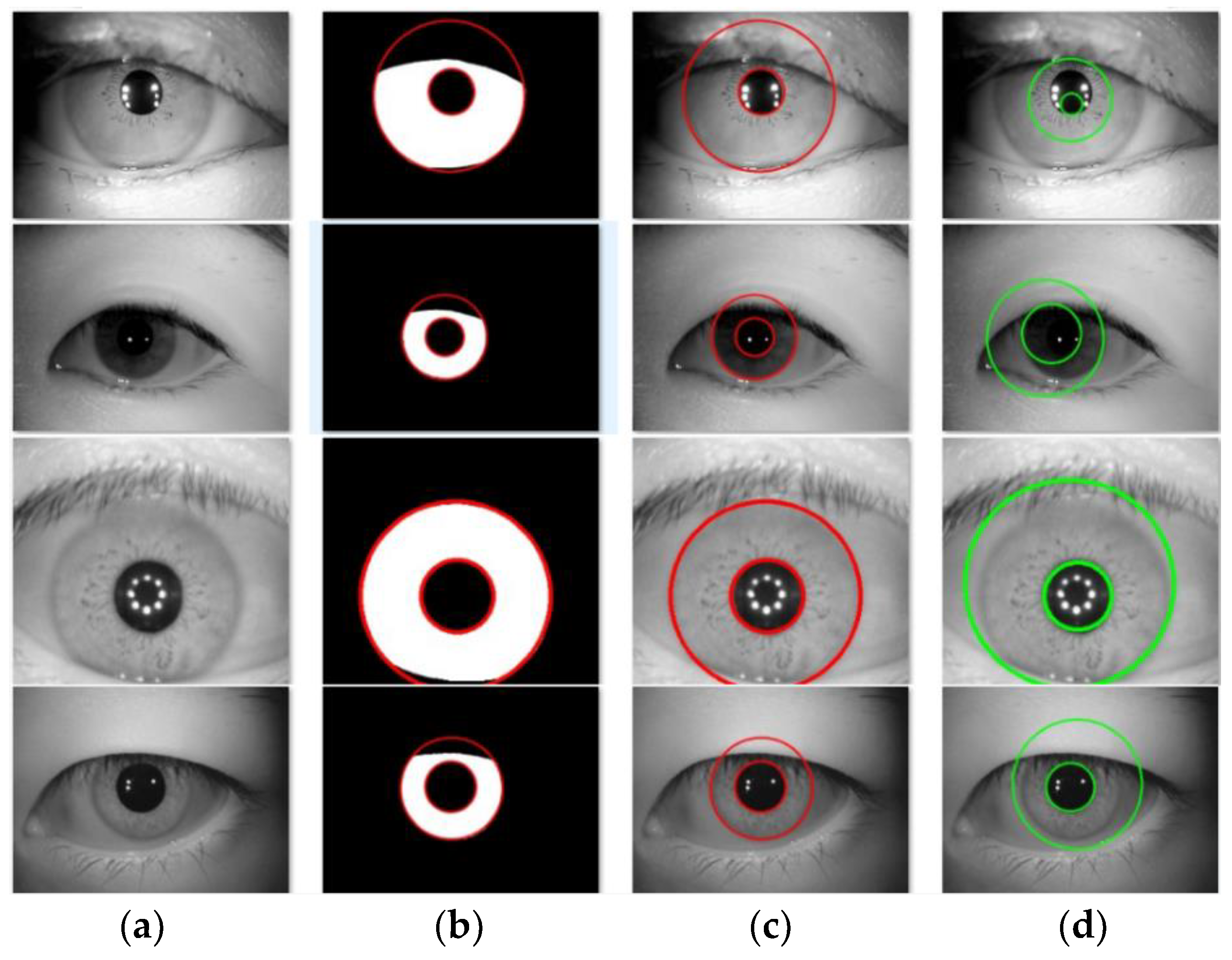 Pfsegiris Precise And Fast Segmentation Algorithm For Multi Source