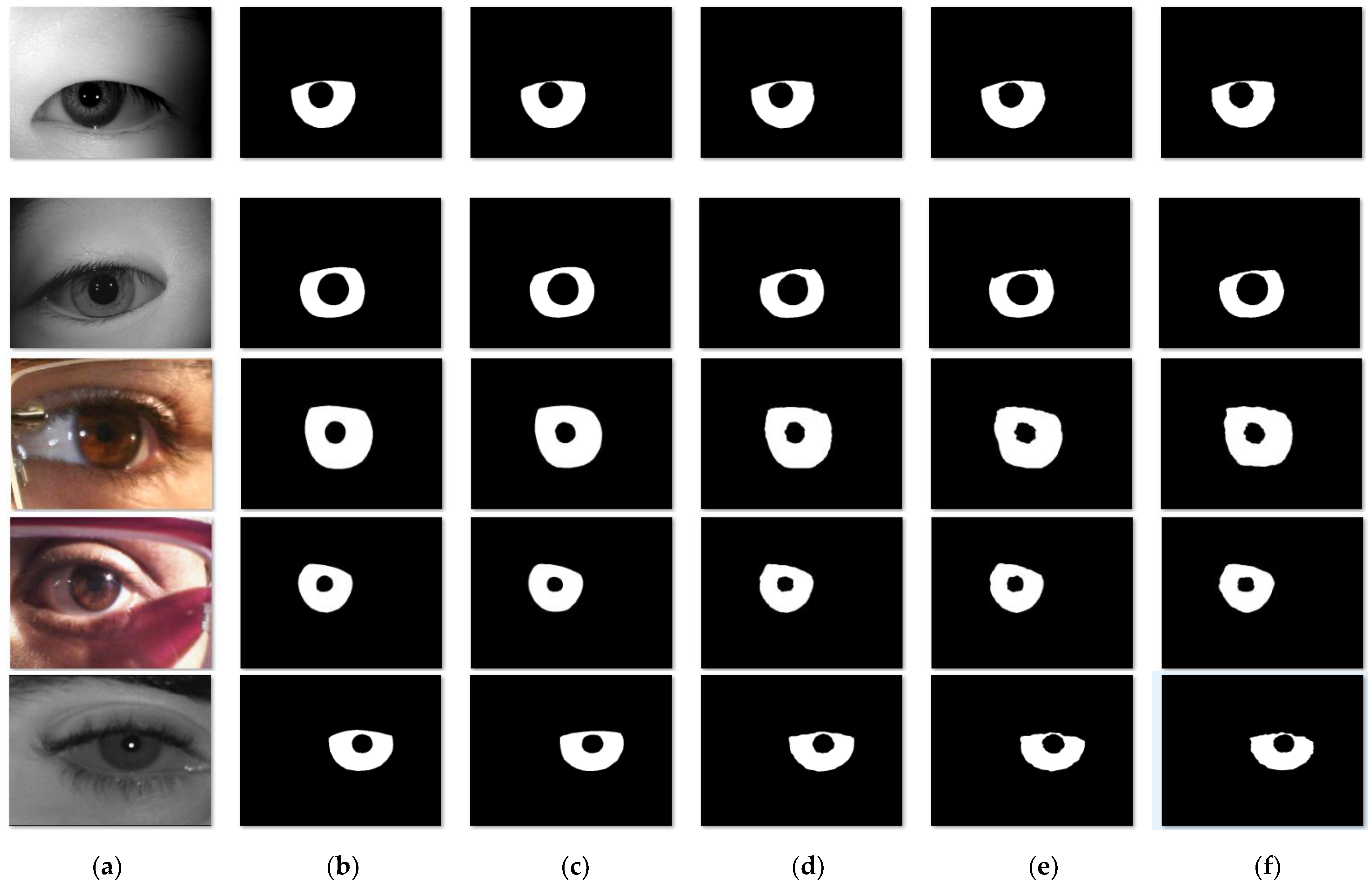 Pfsegiris Precise And Fast Segmentation Algorithm For Multi Source
