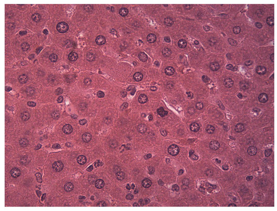 Algorithms An Open Access Journal From Mdpi