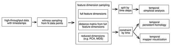 Topological Data Analysis in Time Series: Temporal Filtration and ...