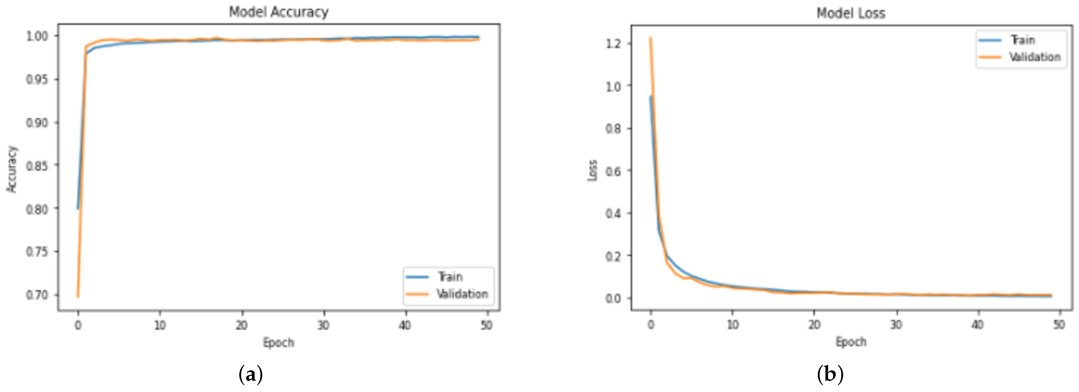 Deep Learning Models for Yoga Pose Monitoring