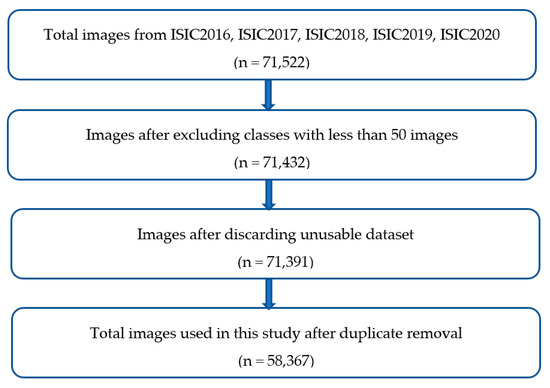 Algorithms | Free Full-Text | Classification of Skin Lesions Using Weighted Majority Voting ...