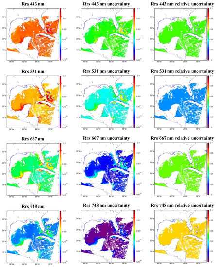 Algorithms | Free Full-Text | Quantifying Uncertainties in OC-SMART Ocean Color Retrievals: A ...