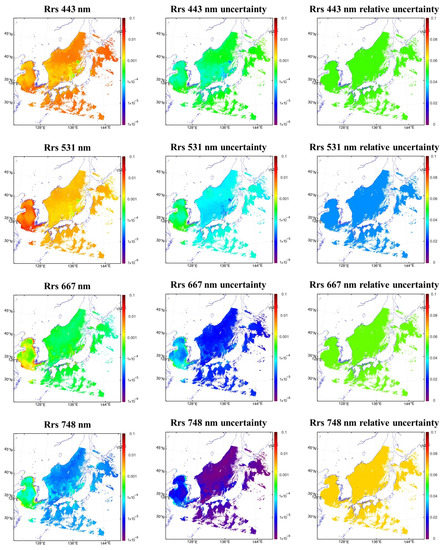 Algorithms | Free Full-Text | Quantifying Uncertainties in OC-SMART Ocean Color Retrievals: A ...