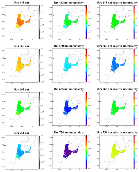 Algorithms | Free Full-Text | Quantifying Uncertainties in OC-SMART Ocean Color Retrievals: A ...