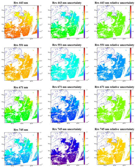 Algorithms | Free Full-Text | Quantifying Uncertainties in OC-SMART Ocean Color Retrievals: A ...