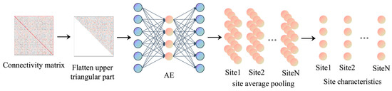 A Multi-Site Anti-Interference Neural Network for ASD Classification