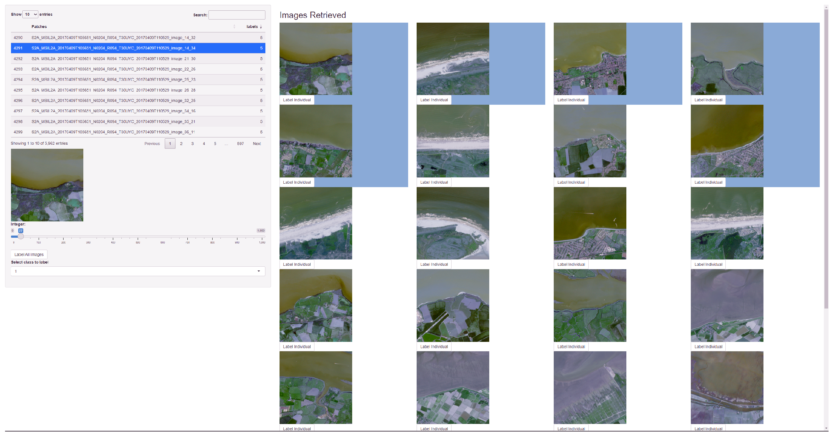 Manifold Explorer: Satellite Image Labelling and Clustering Tool with ...
