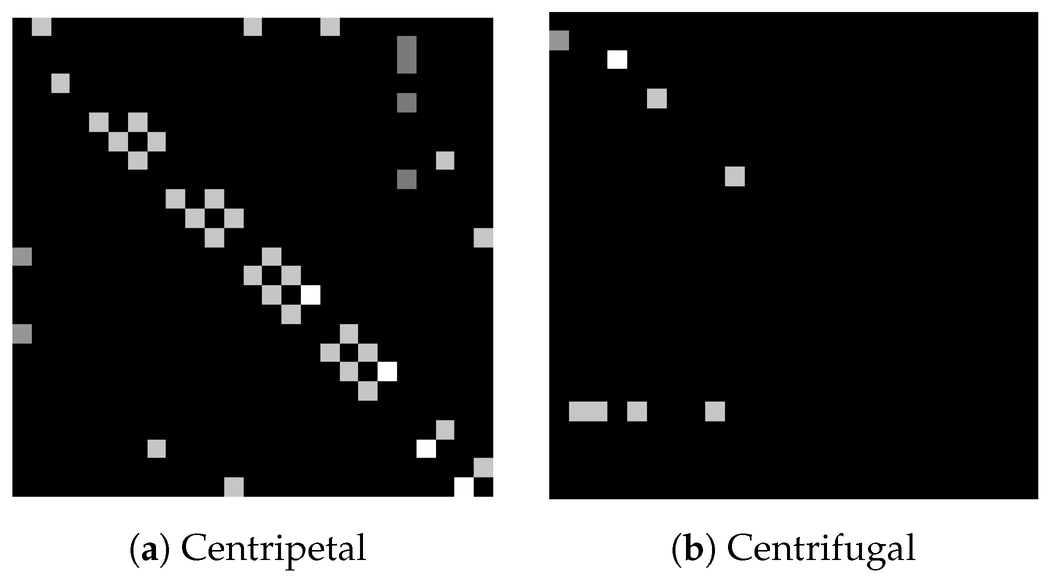 A Lightweight Graph Neural Network Algorithm For Action Recognition