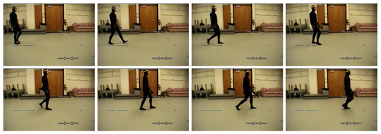 Algorithms | Free Full-Text | Deep Error-Correcting Output Codes