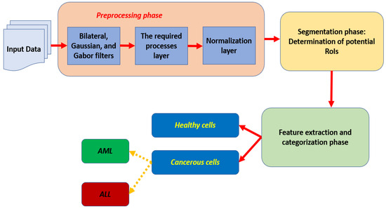 A Novel Deep Learning Segmentation and Classification Framework for ...