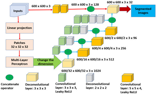 A Novel Deep Learning Segmentation and Classification Framework for ...