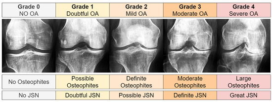 Exploring the Efficacy of Base Data Augmentation Methods in Deep ...