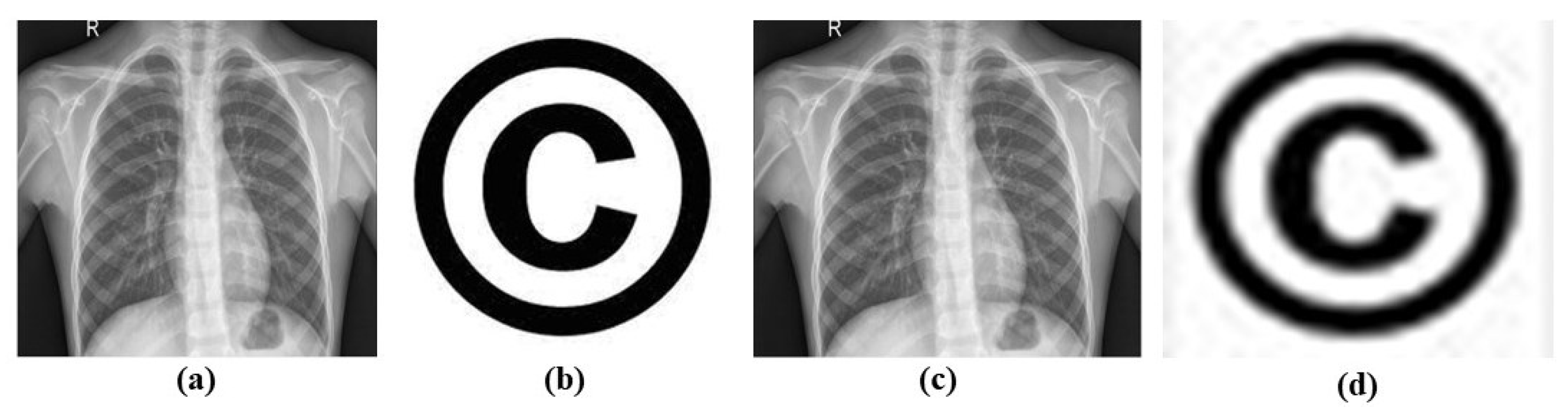 Algorithms | Free Full-Text | Image Watermarking Using Discrete Wavelet Transform and Singular ...