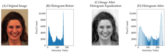 Simple Histogram Equalization Technique Improves Performance of VGG ...