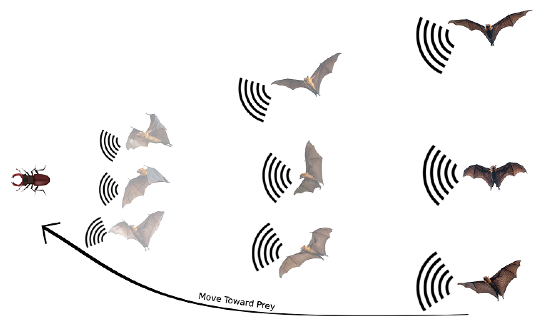 Algorithms | Free Full-Text | EEG Channel Selection for Stroke Patient Rehabilitation Using BAT ...
