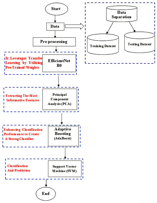 An Efficient AdaBoost Algorithm for Enhancing Skin Cancer Detection and ...