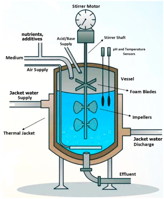 In Silico Optimization of a Fed-Batch Bioreactor for Tryptophan Production Using a Structured ...