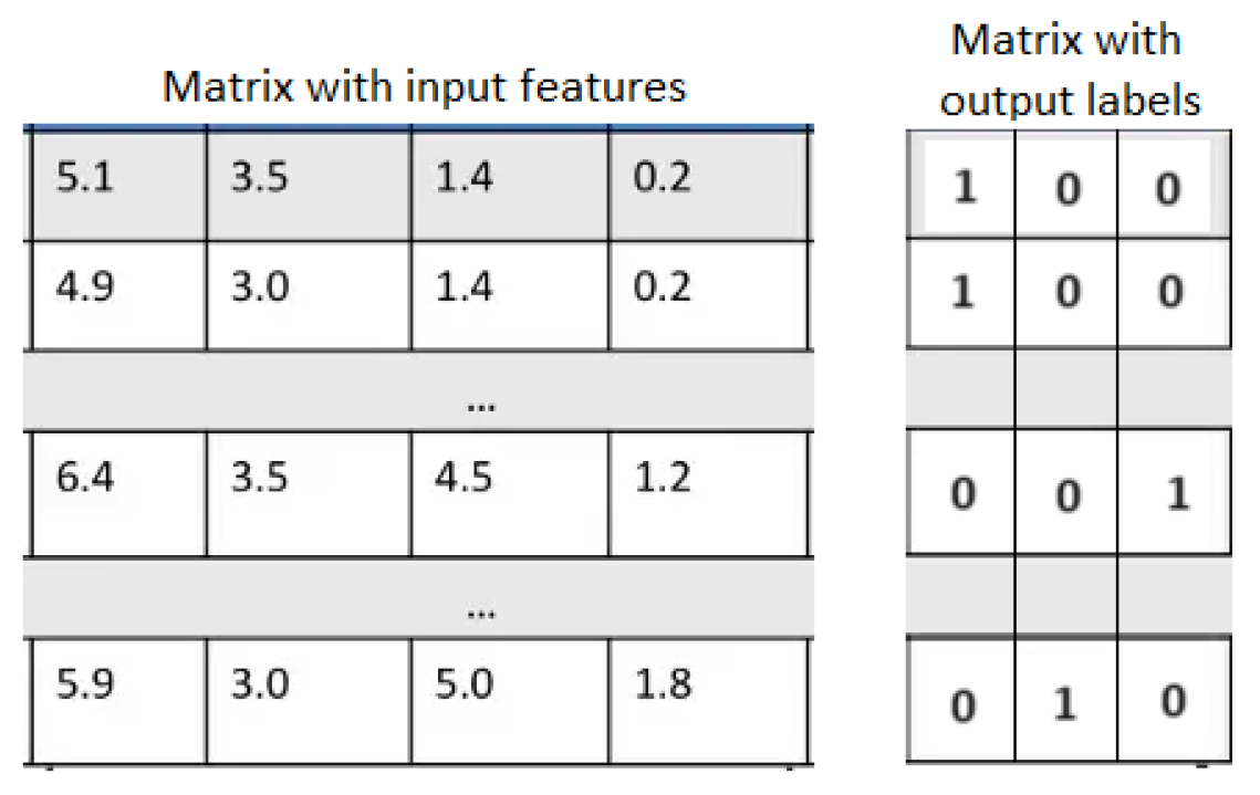 A Review on Resource-Constrained Embedded Vision Systems-Based Tiny ...