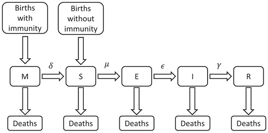 A Complex Network Epidemiological Approach for Infectious Disease ...
