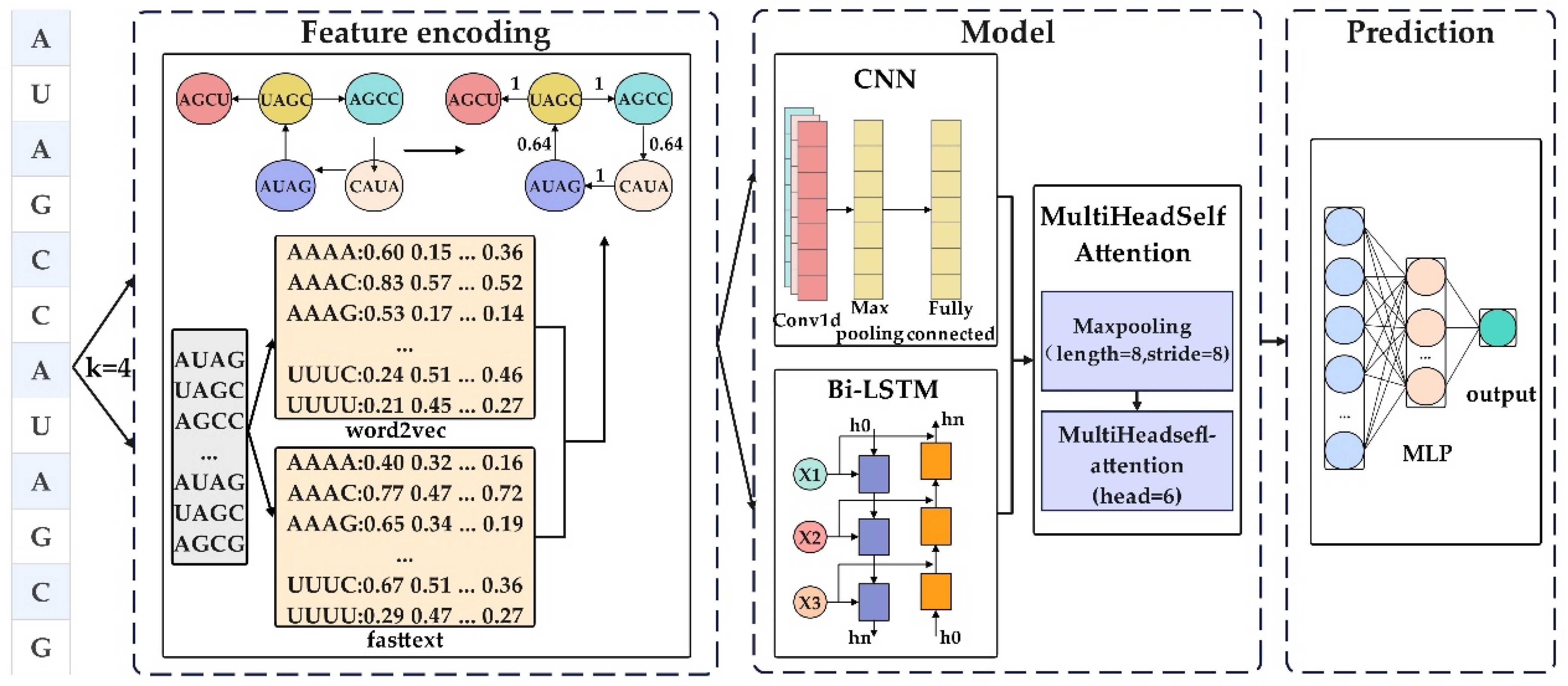 CSpredR: A Multi-Site mRNA Subcellular Localization Prediction Method Based on Fusion Encoding ...
