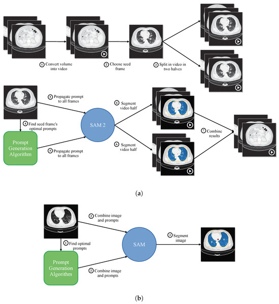 Prompt Once, Segment Everything: Leveraging SAM 2 Potential for ...