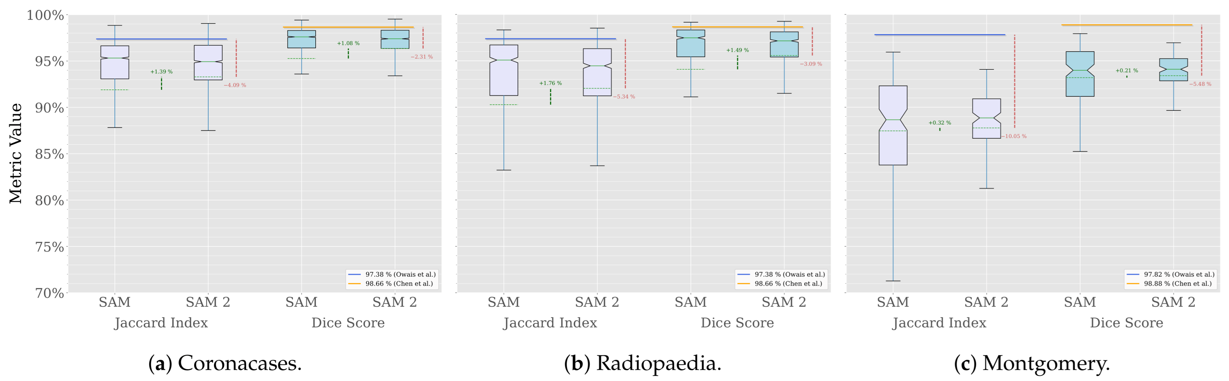 Prompt Once, Segment Everything: Leveraging SAM 2 Potential for Infinite Medical Image ...