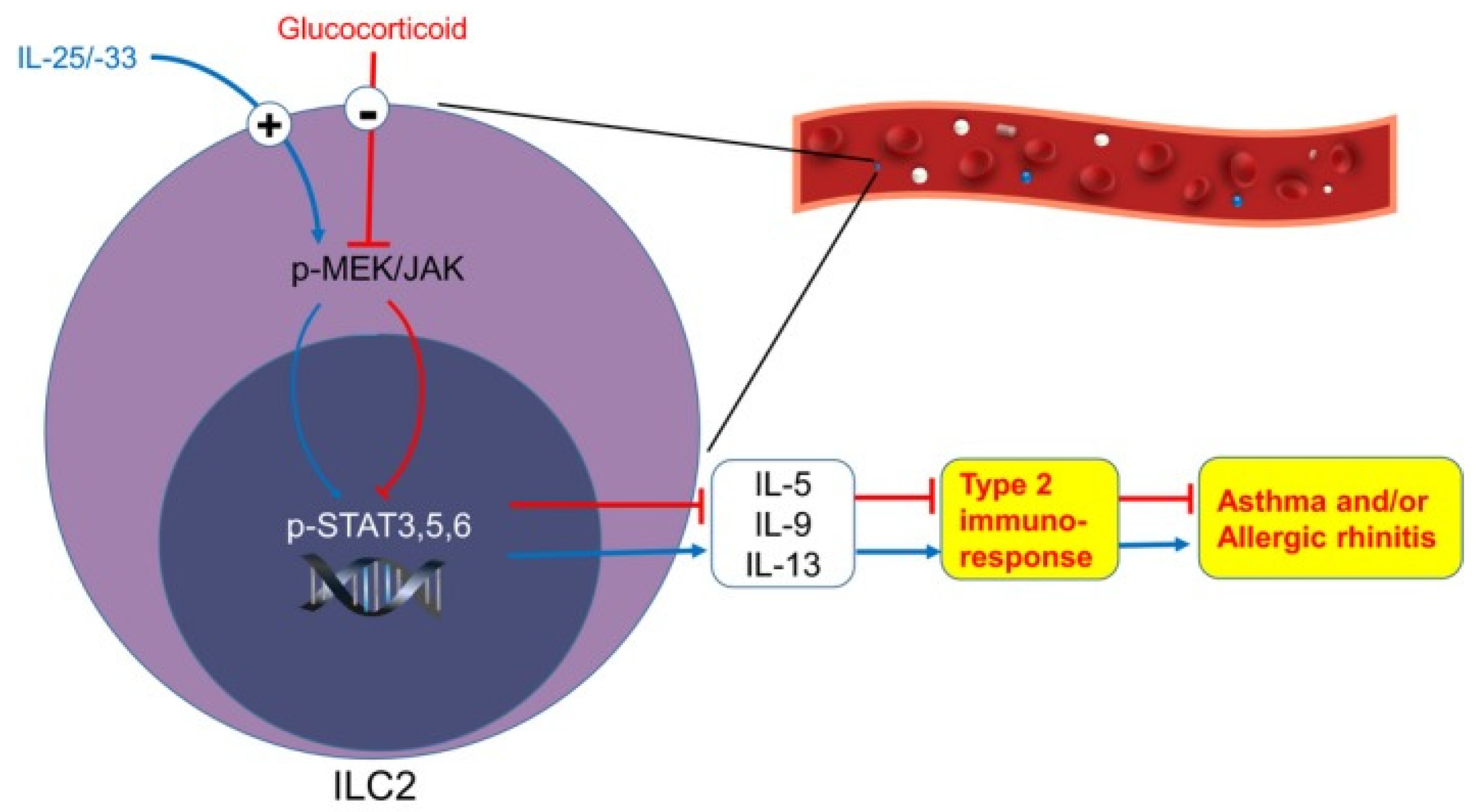 Title-Inflammatory Signaling Pathways in Allergic and Infection ...