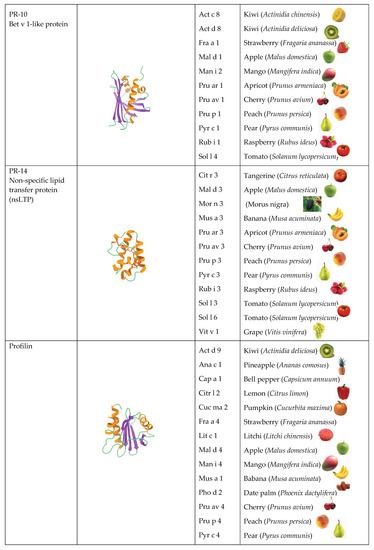 An Overview of Fruit Allergens: Structural, Functional, Phylogenetical ...