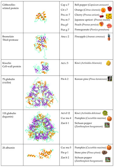 An Overview of Fruit Allergens: Structural, Functional, Phylogenetical ...