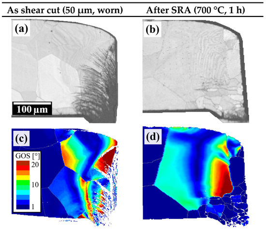 Influence of Subsequent Heat Treatment on Fatigue Behavior of Shear-Cut ...