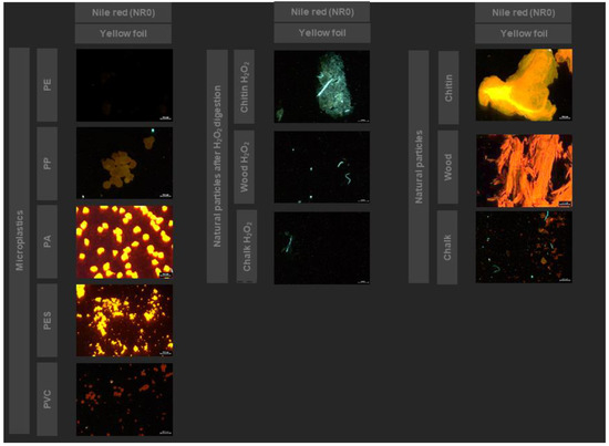 Analytica | Free Full-Text | Development of an Inexpensive and Comparable Microplastic Detection ...