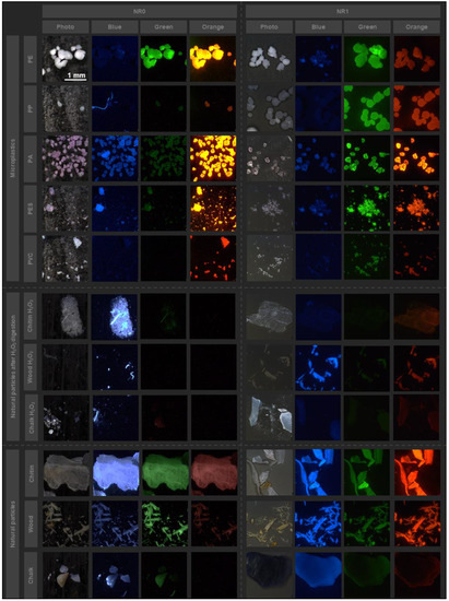 Development of an Inexpensive and Comparable Microplastic Detection Method Using Fluorescent ...