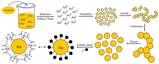 Gold Nanoparticles: A Didactic Step-by-Step of the Synthesis Using the Turkevich Method ...