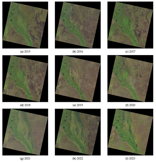 Analytics | Free Full-Text | Image Segmentation of the Sudd Wetlands in ...
