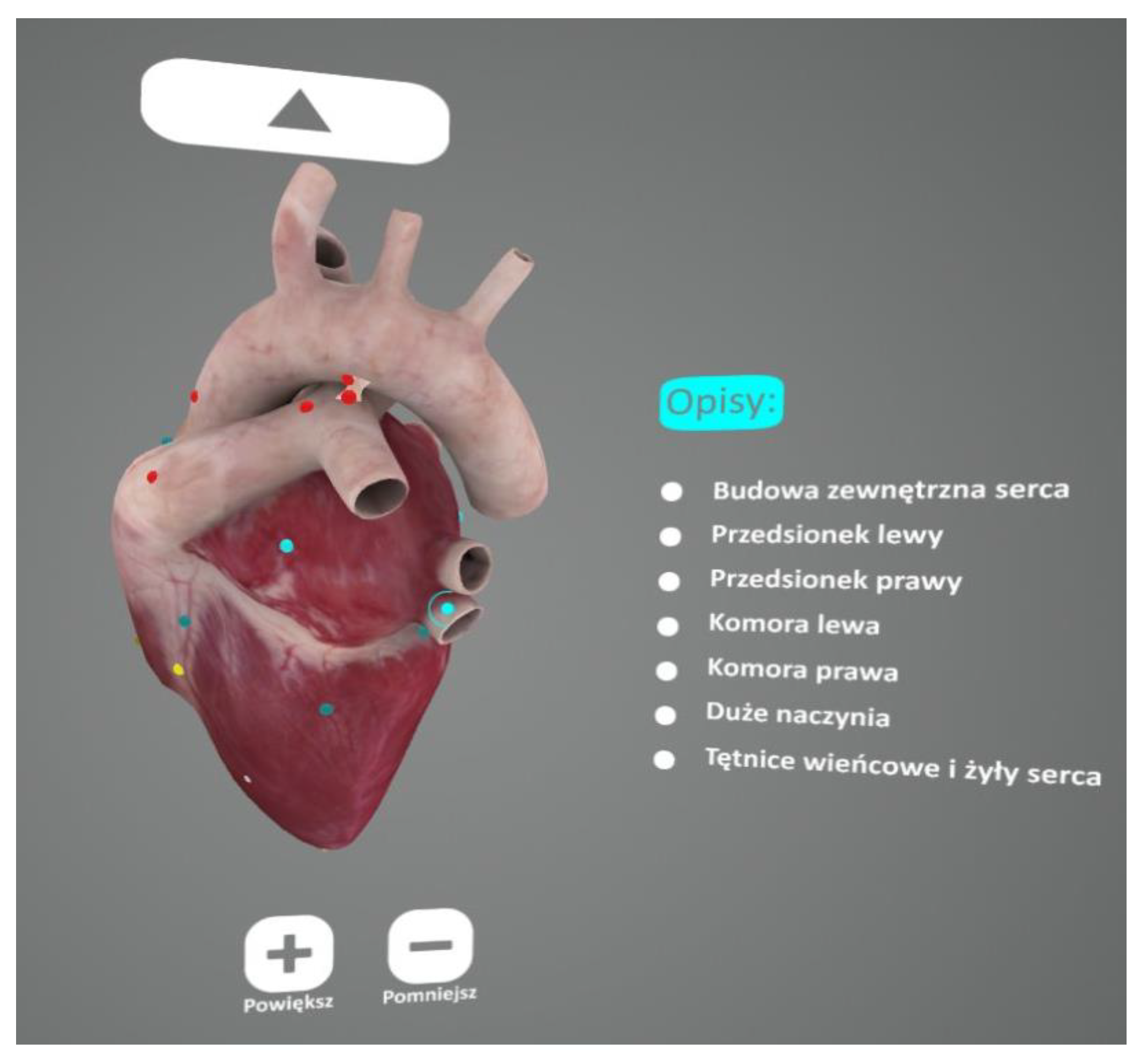 Does Immersive Virtual Reality with the Use of 3D Holography Improve ...
