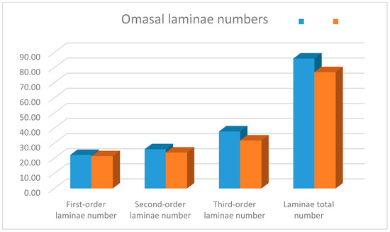 Anatomical Differences in the Omasum of Weaning Calves Fed with ...