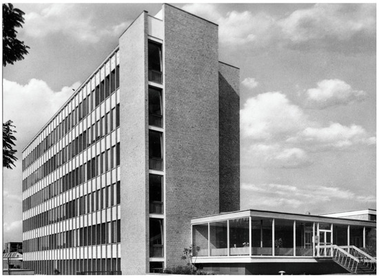 Morphological Research Directions at Neuroscience-Related Institutes of ...