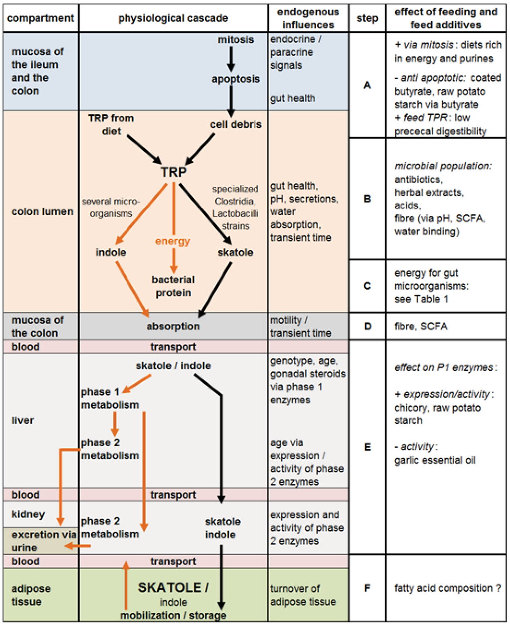 Nutritional Influences on Skatole Formation and Skatole Metabolism in ...