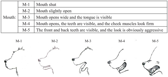 Dogs’ Body Language Relevant to Learning Achievement