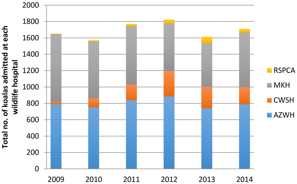 The Rescue and Rehabilitation of Koalas (Phascolarctos cinereus) in ...