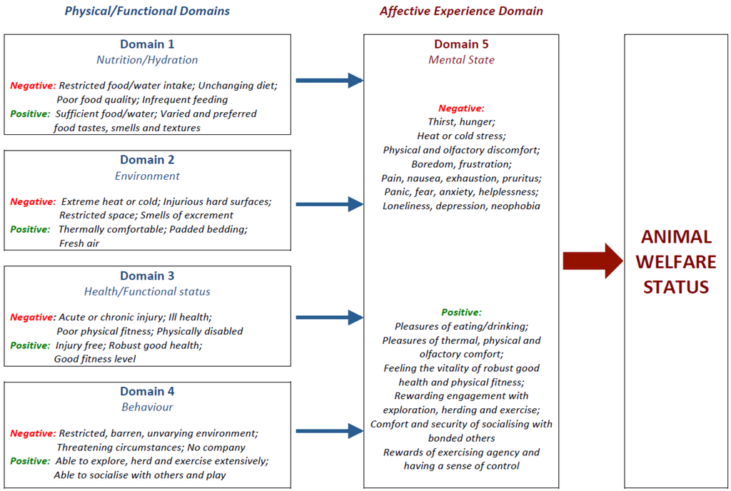 Changes in the Welfare of an Injured Working Farm Dog Assessed Using ...