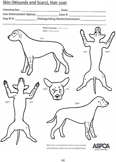 Relationship Between Scarring and Dog Aggression in Pit Bull-Type Dogs ...