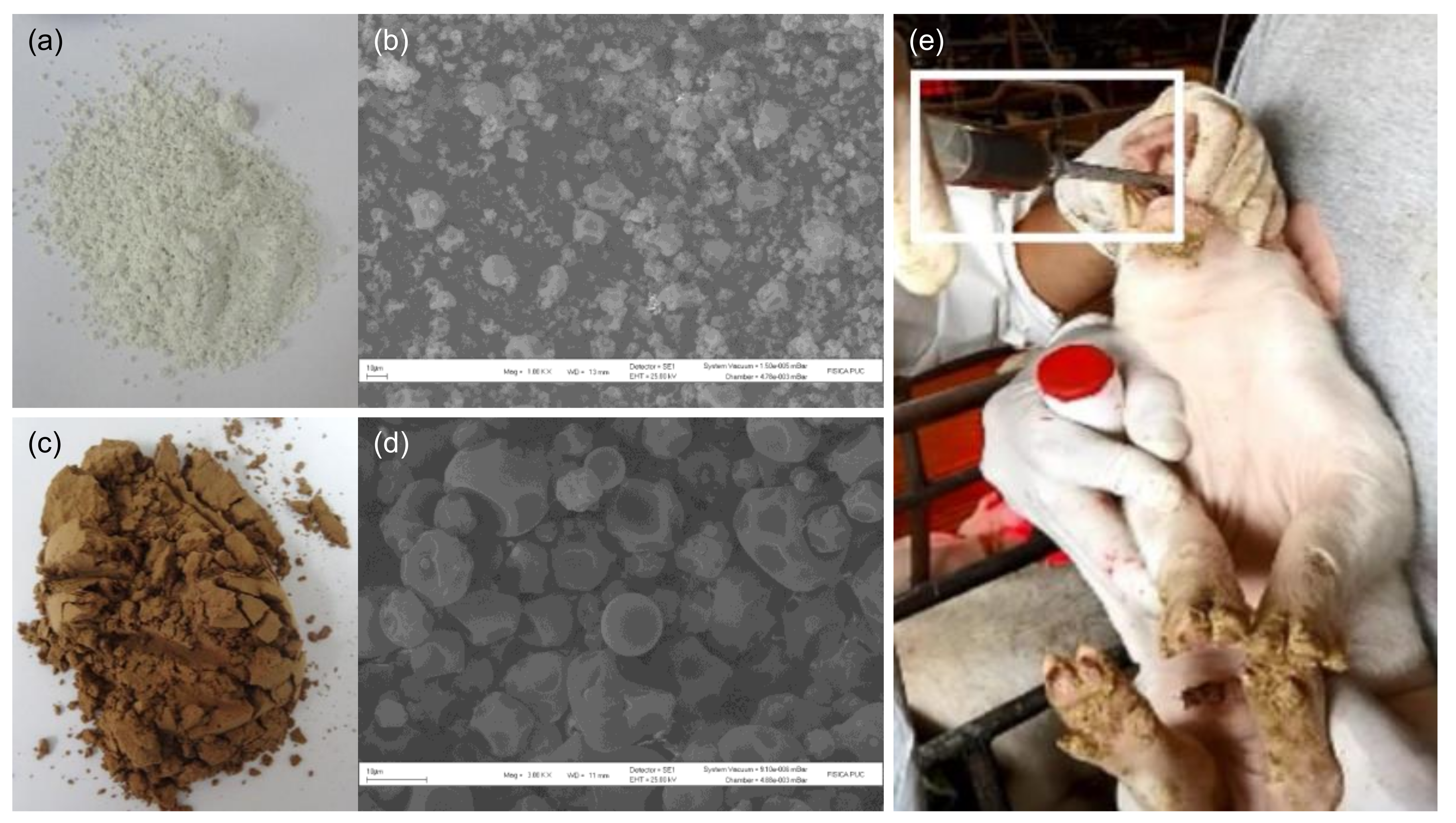 Use of Encapsulation Technology to Improve the Efficiency of an Iron ...