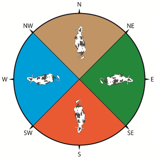 Lying Postures of Dairy Cows in Cubicles and on Pasture