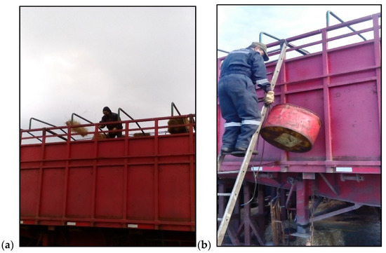 Physiological and Behavioural Responses of Cattle to High and Low Space ...